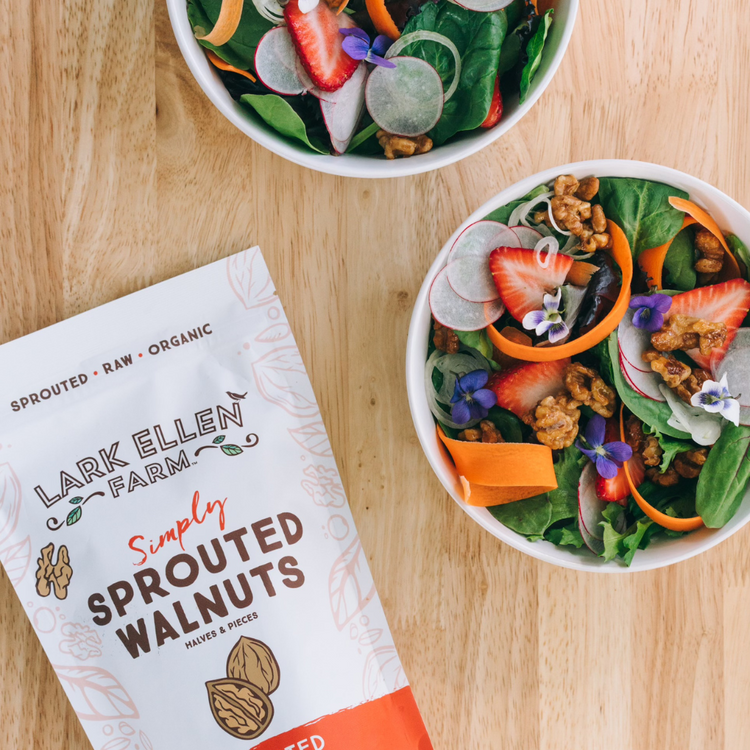 Sprouted Nut & Seeds, Granola, Snacks from Lark Ellen Farm
